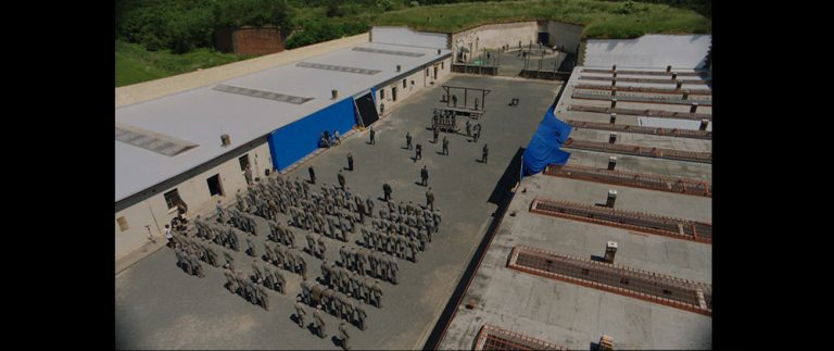 CASE STUDY: ALGOUS STUDIO – Cerebro