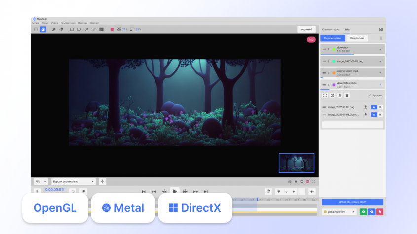 Mirada Support For Multiple Visualization Systems Cerebro